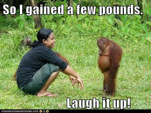 She Can Be So Rude Sometimes - Animal Comedy - Animal Comedy, funny ...