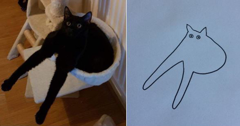 These Poorly Drawn Cat Portraits Are Freakin' Hysterical - Memebase ...