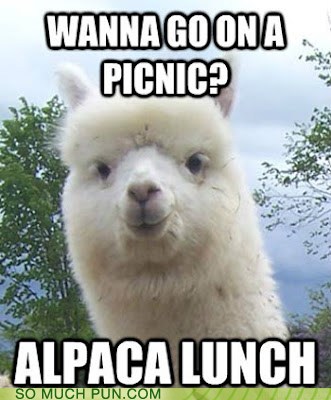 Puns - alpaca - Funny Puns - Pun Pictures - Cheezburger