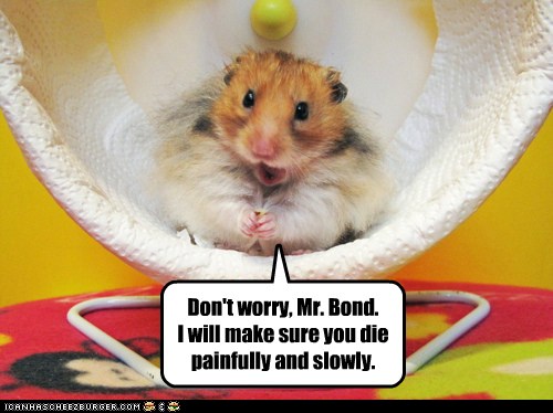 I Can Has Cheezburger? - james bond - Page 2 - Funny Animals Online ...
