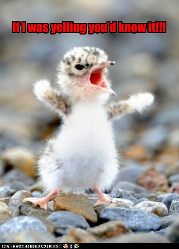 Animal Capshunz - baby bird - Funny animal pictures with captions ...