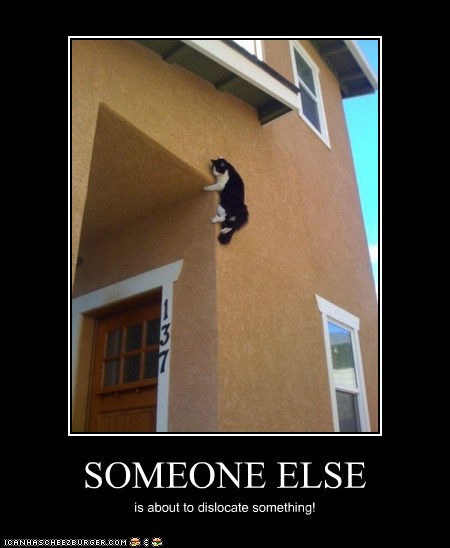 SOMEONE ELSE - Lolcats - lol | cat memes | funny cats | funny cat ...