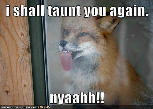 This Glass Cannot Shield You From My Taunts - Animal Comedy - Animal ...