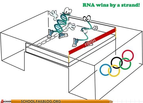 Team Genetics for Olympics! - School of Fail - homework class test