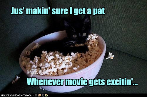 Lolcats - Popcorn - LOL at Funny Cat Memes - Funny cat pictures with ...