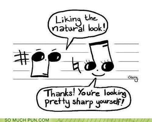 Puns - flat - Funny Puns - Pun Pictures - Cheezburger