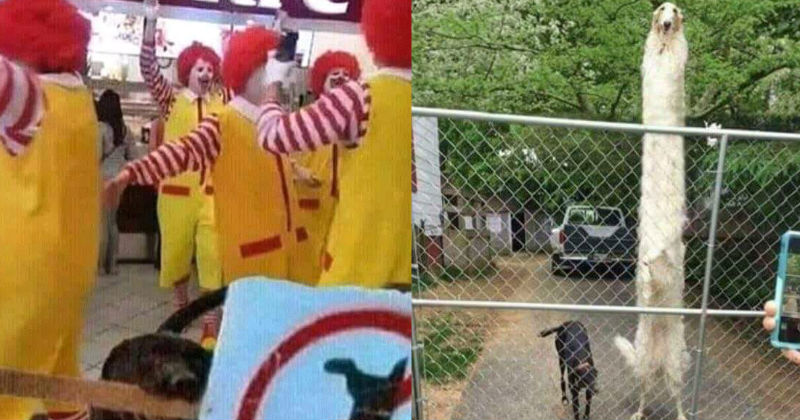 26 Strange Photos To Make You Squirm Uncomfortably In Your Seat - FAIL ...