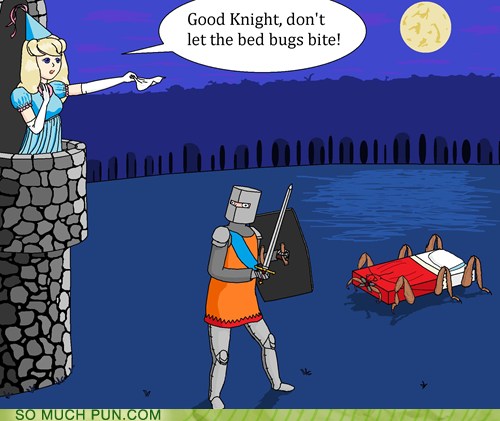 Puns - knight - Funny Puns - Pun Pictures - Cheezburger