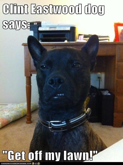 Cheezburger - growl - Page 2 - I Can Has Cheezburger | Failblog ...