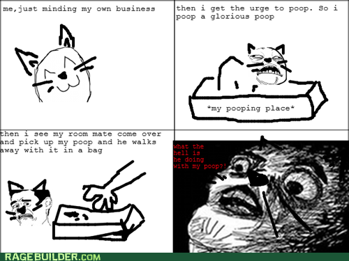 Rage Comics - cat - Page 4 - Rage Comics - rage comics - Cheezburger