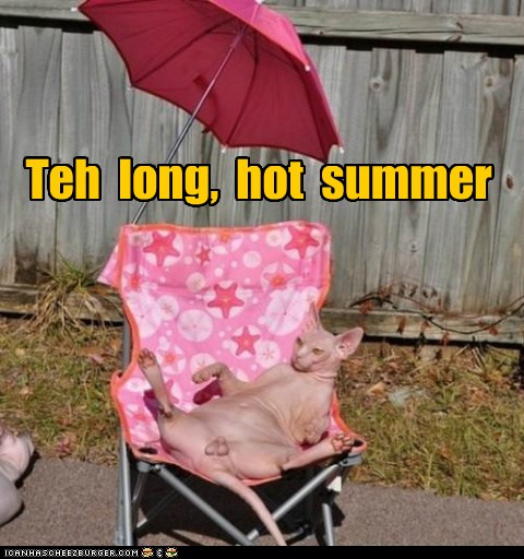 Lolcats - summer - Page 2 - LOL at Funny Cat Memes - Funny cat pictures ...