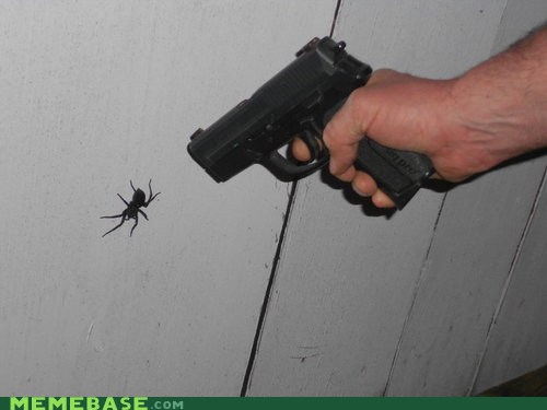 Jump, I Dare You - Memebase - Funny Memes