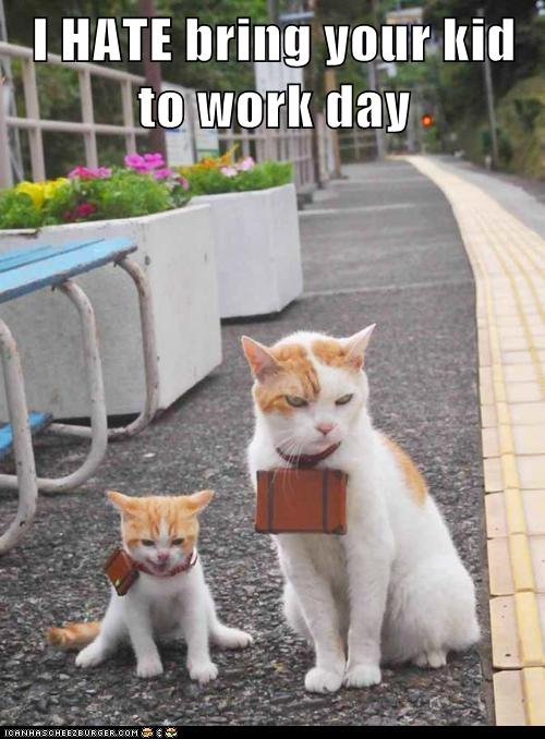 Lolcats - kid - Page 2 - LOL at Funny Cat Memes - Funny cat pictures ...