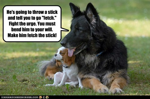 Bend him to your will! - I Has A Hotdog - Dog Pictures - Funny pictures ...