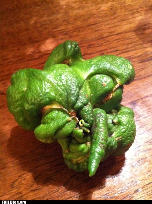 Lime FAIL - FAIL Nation - Vintage FAILs of the Epic Variety