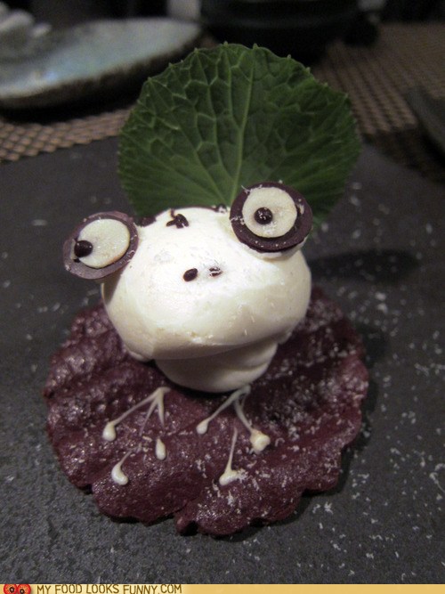 My Food Looks Funny - frog - funny food photos - Cheezburger