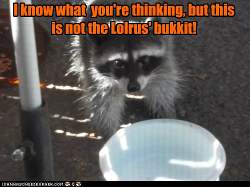 I Can Has Cheezburger? - lolrus - Page 2 - Funny Animals Online ...