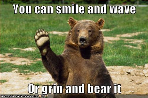 I Can Has Cheezburger? - waving - Page 2 - Funny Animals Online ...