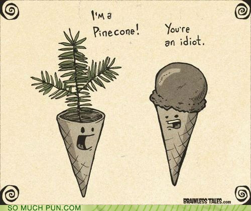 Puns - ice cream cone - Funny Puns - Pun Pictures - Cheezburger