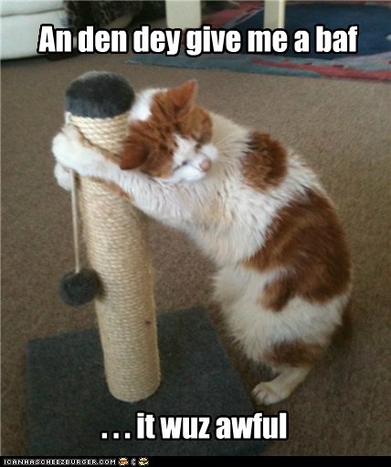 Lean on me - Lolcats - lol | cat memes | funny cats | funny cat ...
