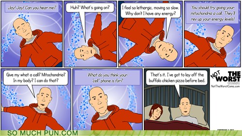 Puns - cell - Funny Puns - Pun Pictures - Cheezburger