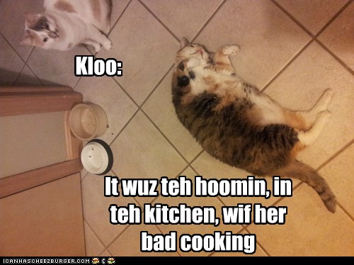 Lolcats - kitchen - Page 2 - LOL at Funny Cat Memes - Funny cat ...