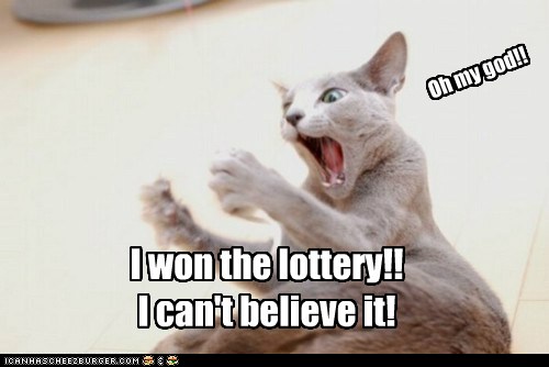 Lolcats - winner - LOL at Funny Cat Memes - Funny cat pictures with ...