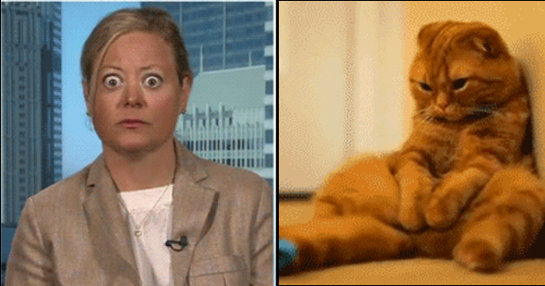 The Greatest GIFs of the Week - Memebase - Funny Memes