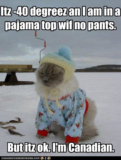 Lolcats - Canada - LOL at Funny Cat Memes - Funny cat pictures with ...