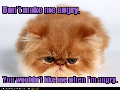 Don't make me angry. - Lolcats - lol | cat memes | funny cats | funny ...