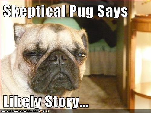 I Has A Hotdog - squinting - Funny Dog Pictures | Dog Memes | Puppy ...