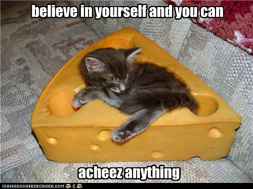 the power of positive thinking - Lolcats - lol | cat memes | funny cats ...