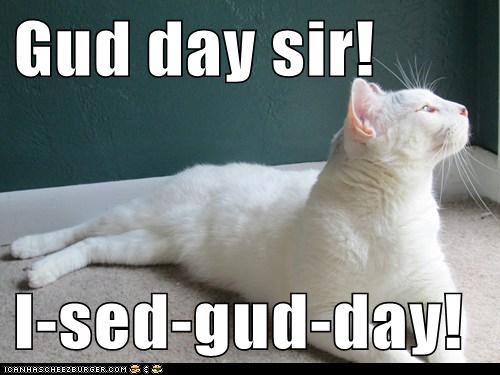 Gud day sir! - Lolcats - lol | cat memes | funny cats | funny cat ...
