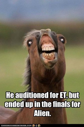 He Lost Because of an "Apples" Accident - Animal Comedy - Animal Comedy ...