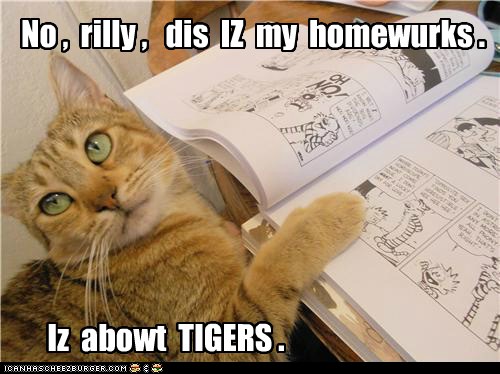 Lolcats - homework - Page 2 - LOL at Funny Cat Memes - Funny cat ...