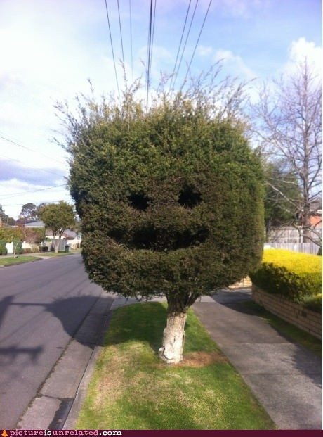 Happy Tree Is Happy - Picture Is Unrelated - Funny Picture | Funny ...