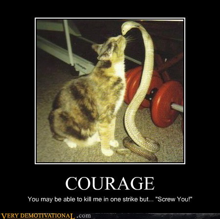 Memes For Courage