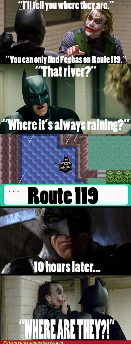 Pokémemes - feebas - Pokemon Memes - Pokémon, Pokémon GO - Cheezburger