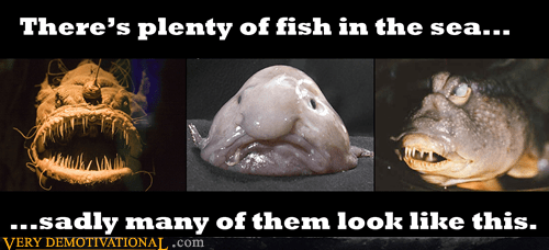 THERE'S PLENTY OF FISH IN THE SEA - Very Demotivational ...