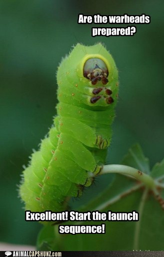 Doomsday! - Animal Comedy - Animal Comedy, funny animals, animal gifs