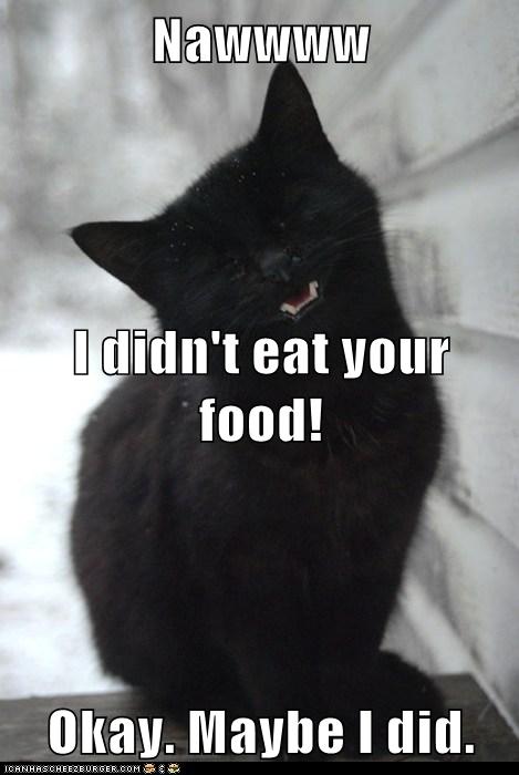 Nawwww I didn't eat your food! - Lolcats - lol | cat memes | funny cats ...