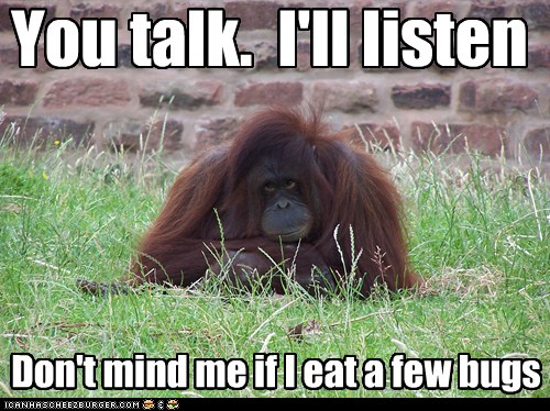But I'm Listening. I Promise. - Animal Comedy - Animal Comedy, funny ...