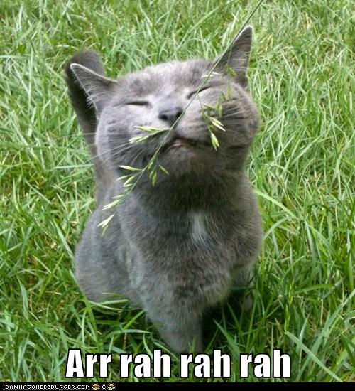 Arr rah rah rah - Lolcats - lol | cat memes | funny cats | funny cat ...