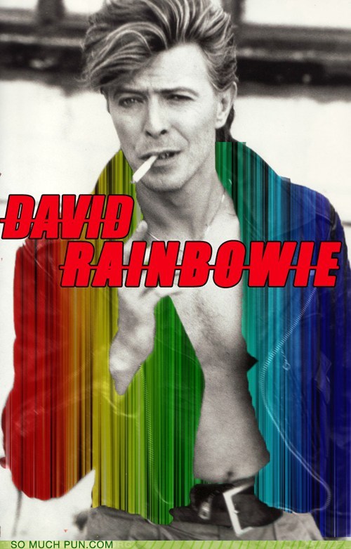 Puns - david bowie - Funny Puns - Pun Pictures - Cheezburger