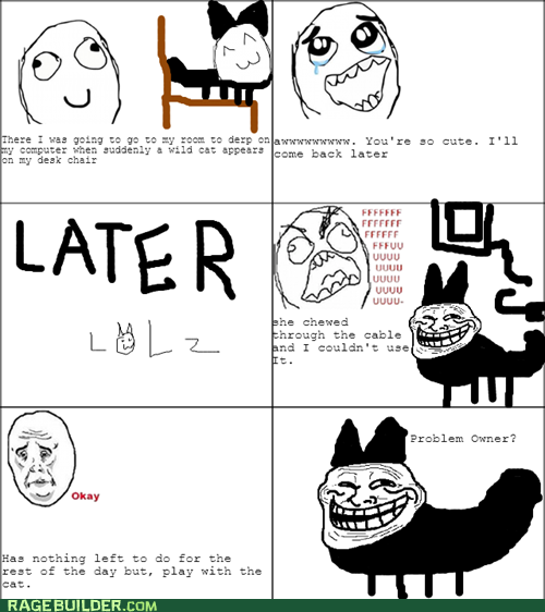 Cat Troll - Rage Comics - rage comics