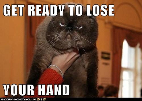 Lolcats - angry - Page 3 - LOL at Funny Cat Memes - Funny cat pictures ...