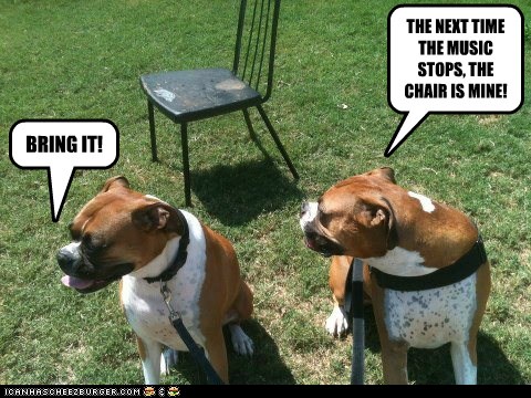 I Has A Hotdog - musical chairs - Funny Dog Pictures | Dog Memes ...