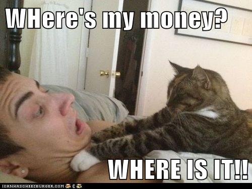 Lolcats - money - Page 3 - LOL at Funny Cat Memes - Funny cat pictures ...