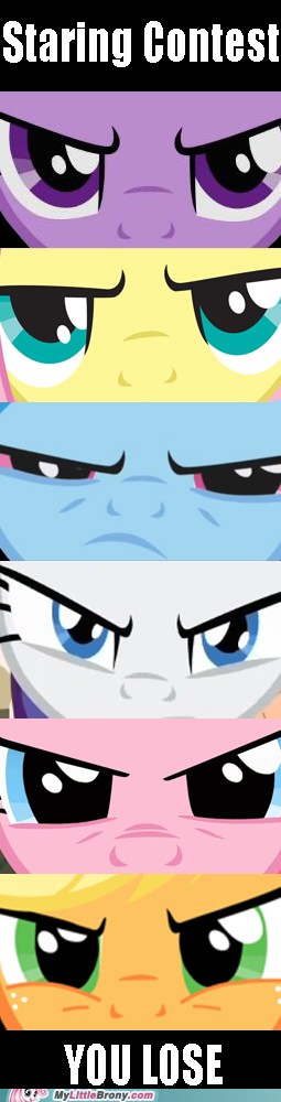 Who's the REAL Stare Master? - My Little Brony - my little pony ...