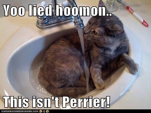 Yoo lied hoomon.. This isn't Perrier! - Lolcats - lol | cat memes ...